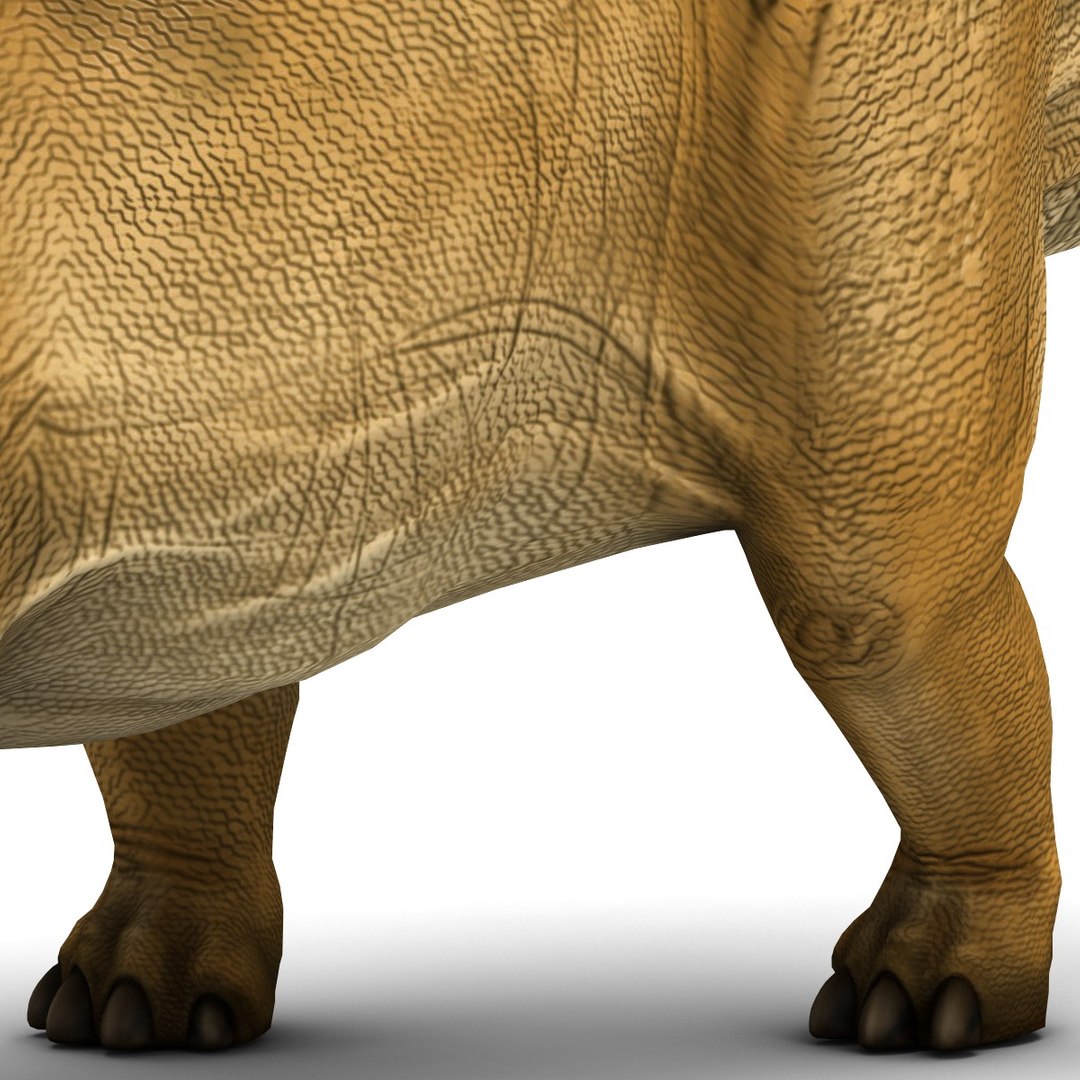 stegosaurus pose 1 3d model