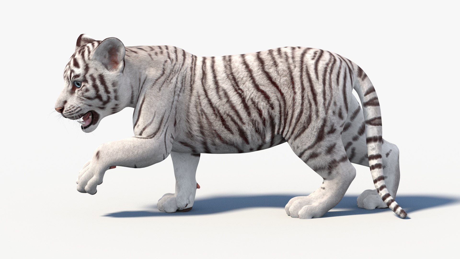 3D Rigged White Tiger Cub 3D Model - TurboSquid 2333549