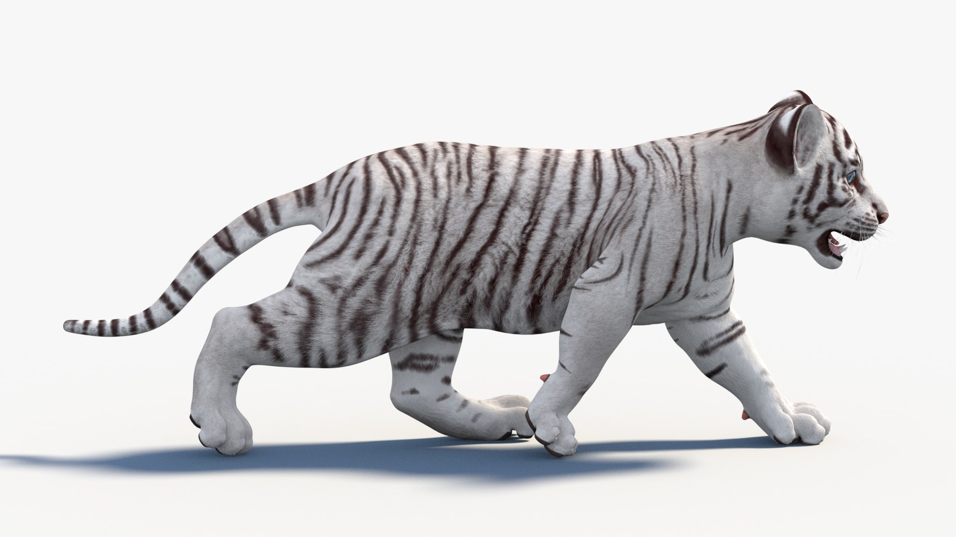 3D Rigged White Tiger Cub 3D Model - TurboSquid 2333549