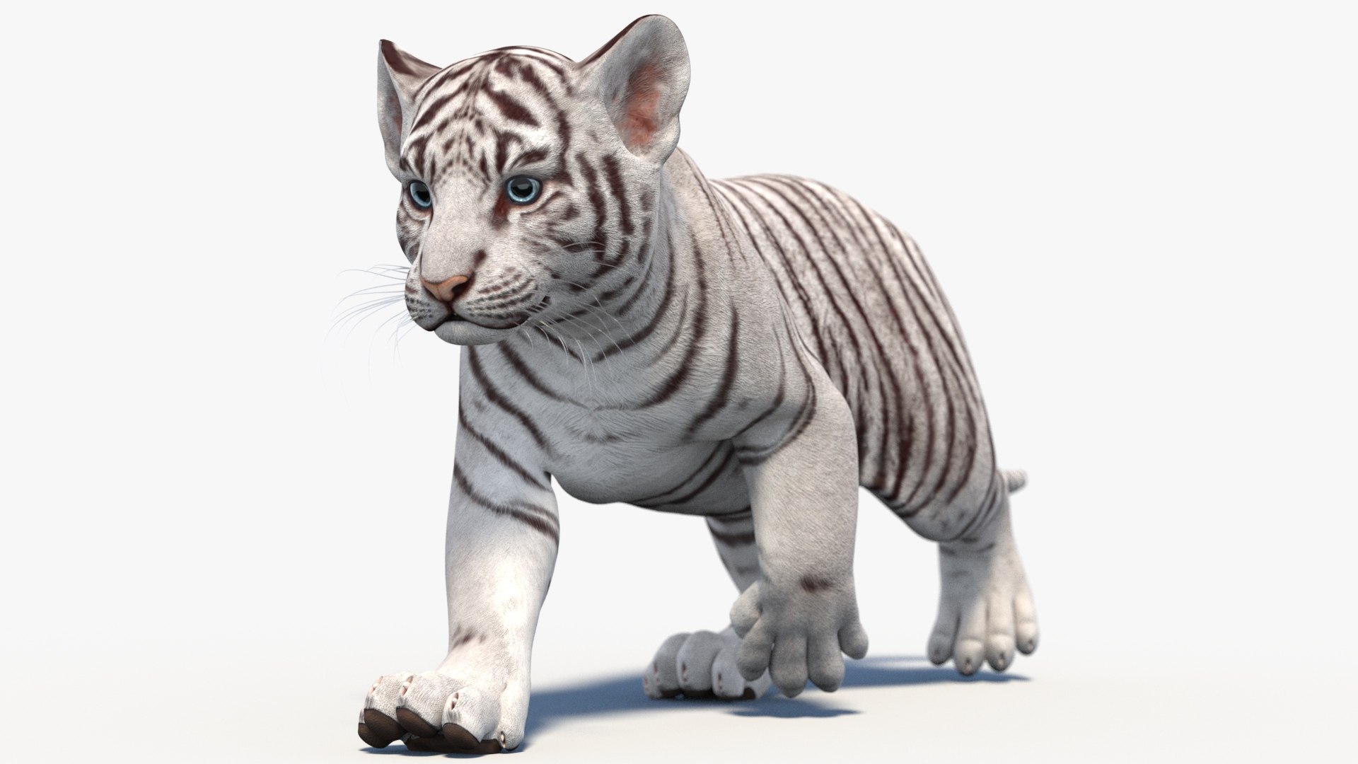 3D Rigged White Tiger Cub 3D Model - TurboSquid 2333549