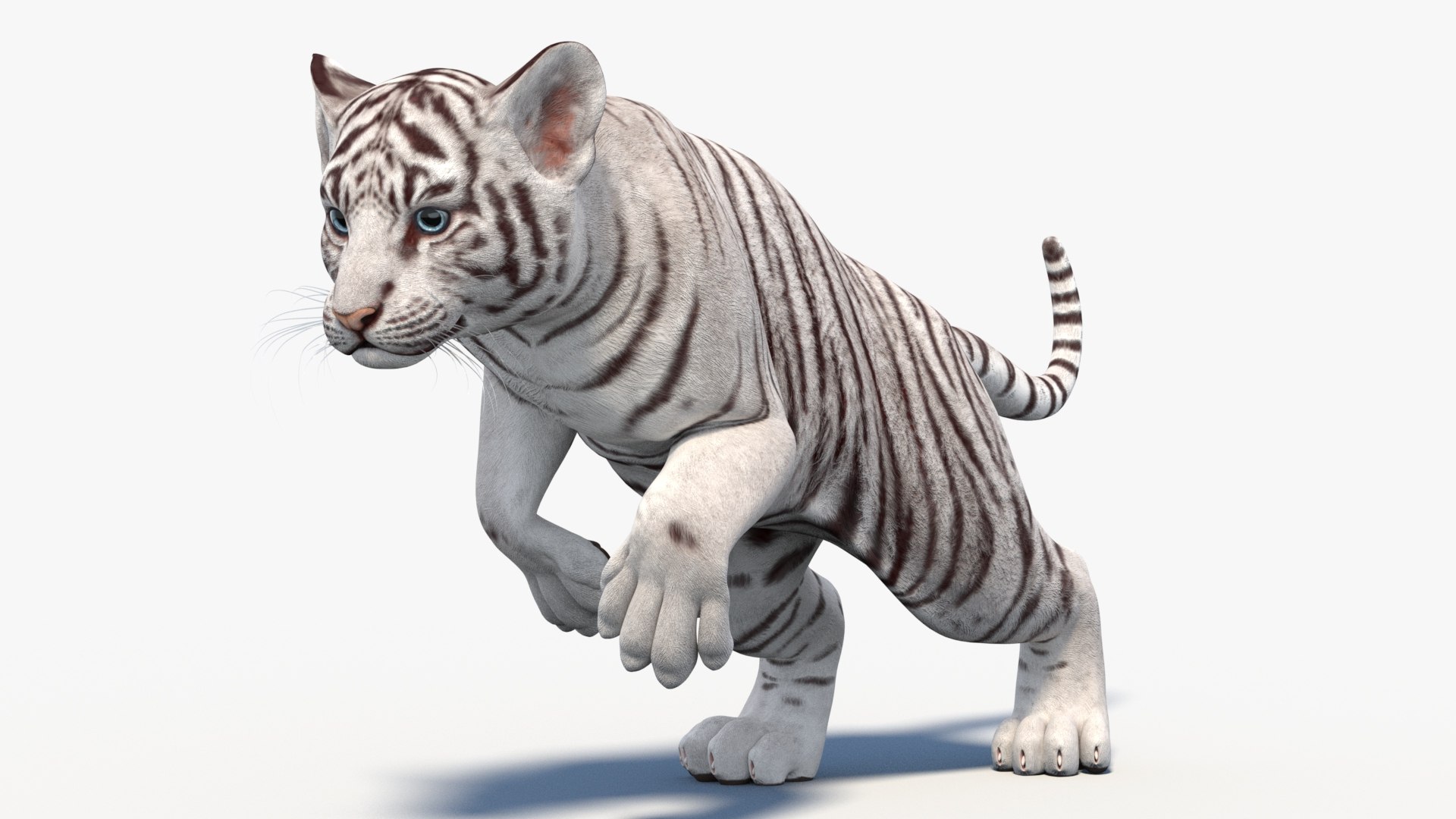 3D Rigged White Tiger Cub 3D Model - TurboSquid 2333549