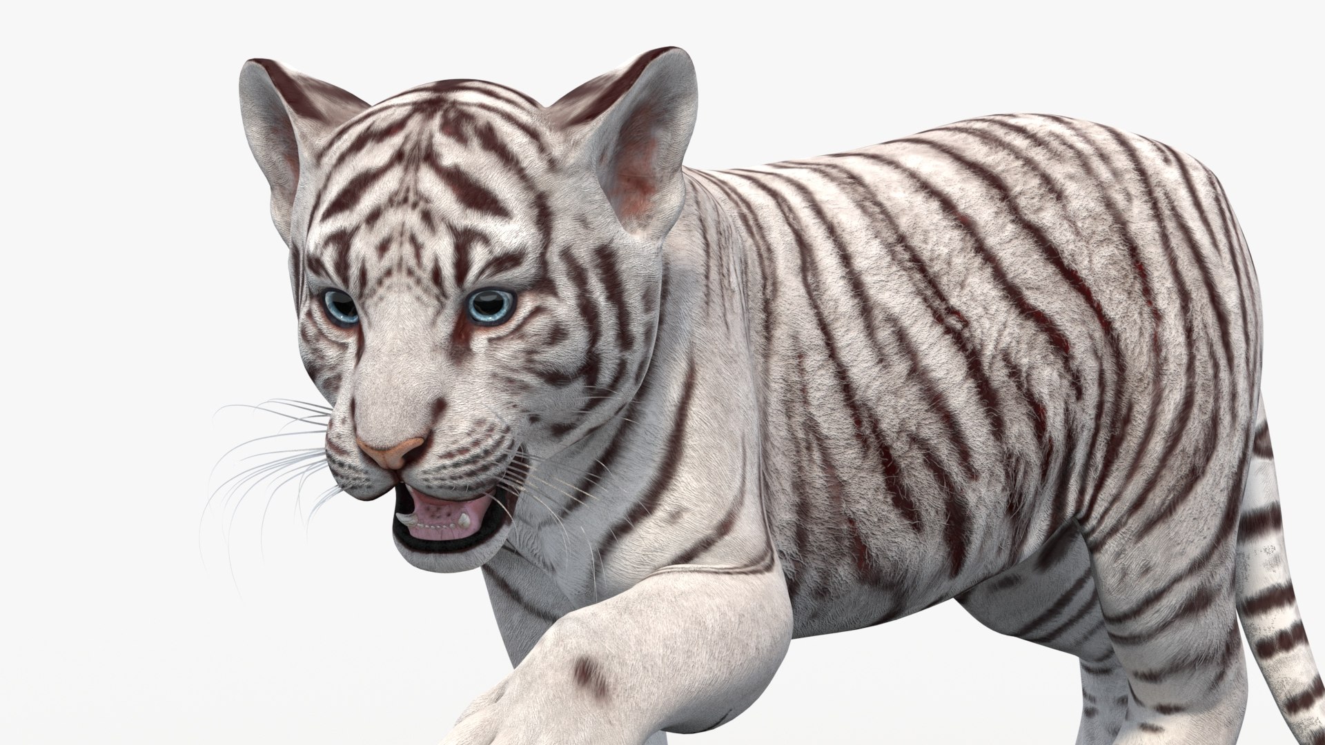 3D Rigged White Tiger Cub 3D Model - TurboSquid 2333549