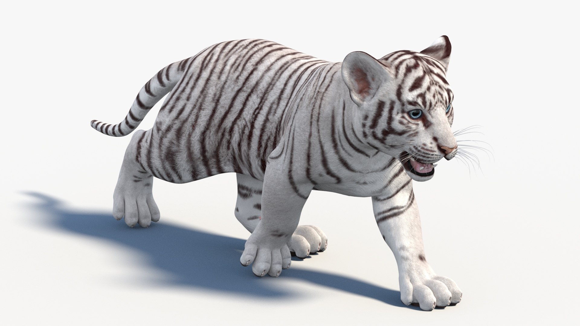 3D Rigged White Tiger Cub 3D Model - TurboSquid 2333549