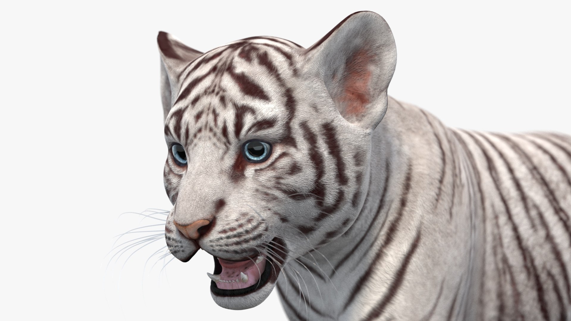 3D Rigged White Tiger Cub 3D Model - TurboSquid 2333549