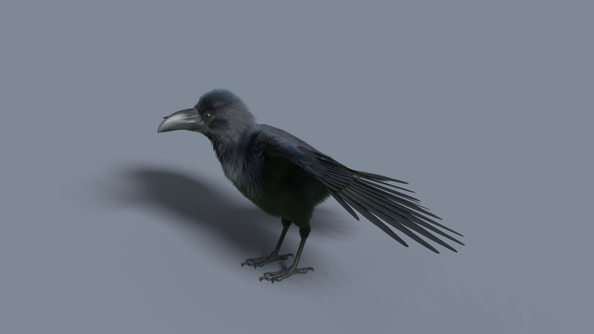 3D Jungle Crow - TurboSquid 2164623