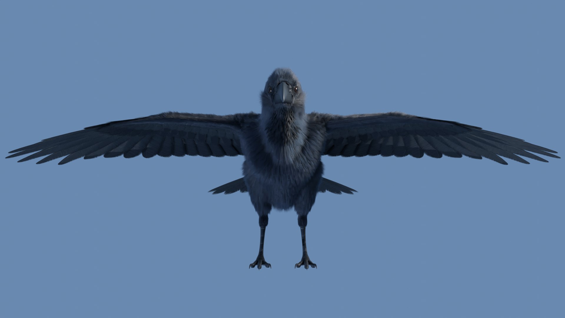 3D Jungle Crow - TurboSquid 2164623