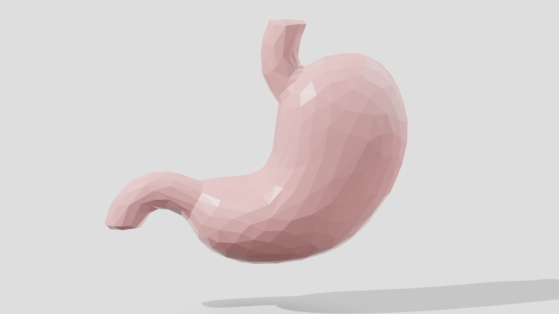 3D Pink low poly organ stomach - TurboSquid 2100502