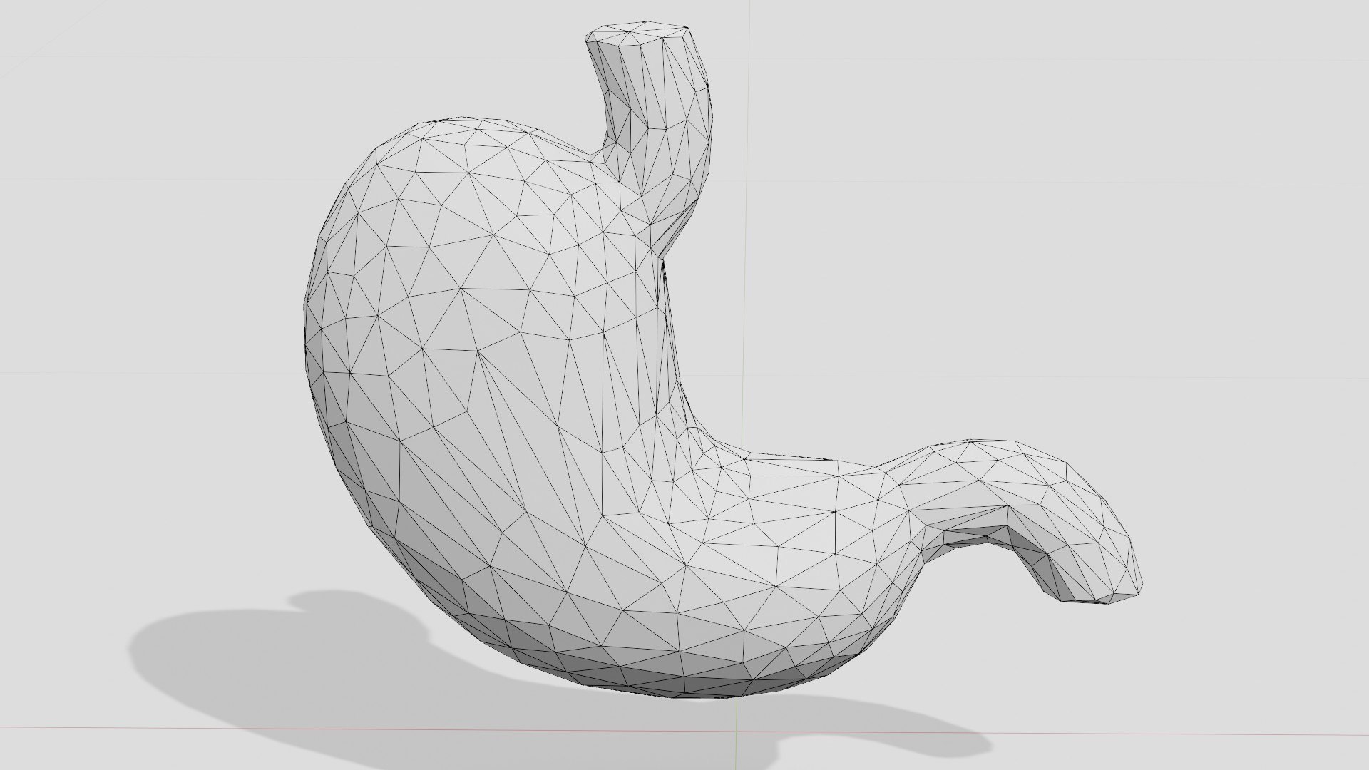 3D Pink low poly organ stomach - TurboSquid 2100502