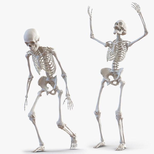 Free Rigged 3D Skeleton Models | TurboSquid