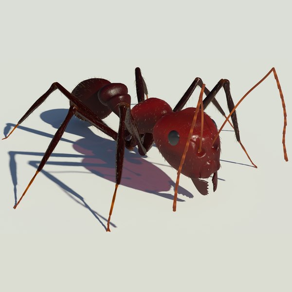 Fire Ant 3D Models for Download | TurboSquid