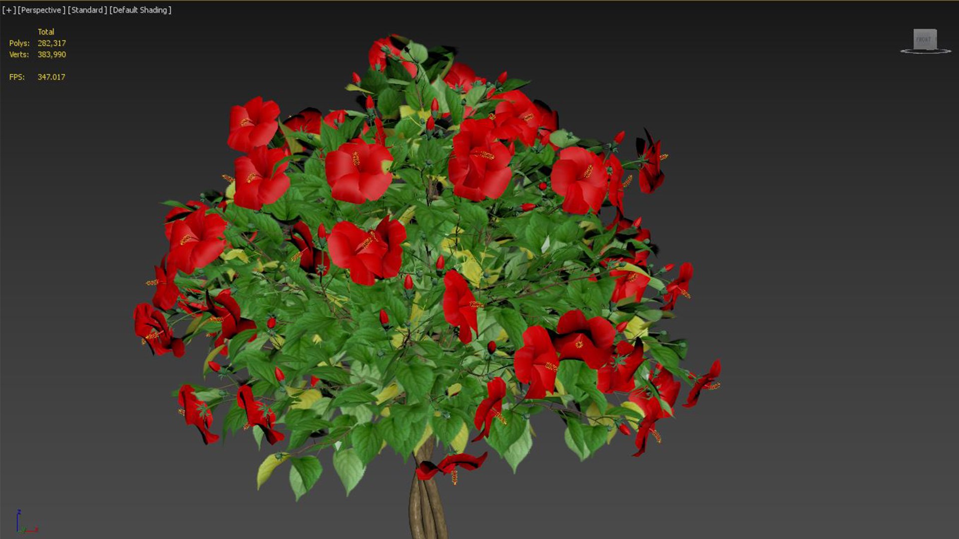 3D Indoor-hibiscus-01 - TurboSquid 1978274