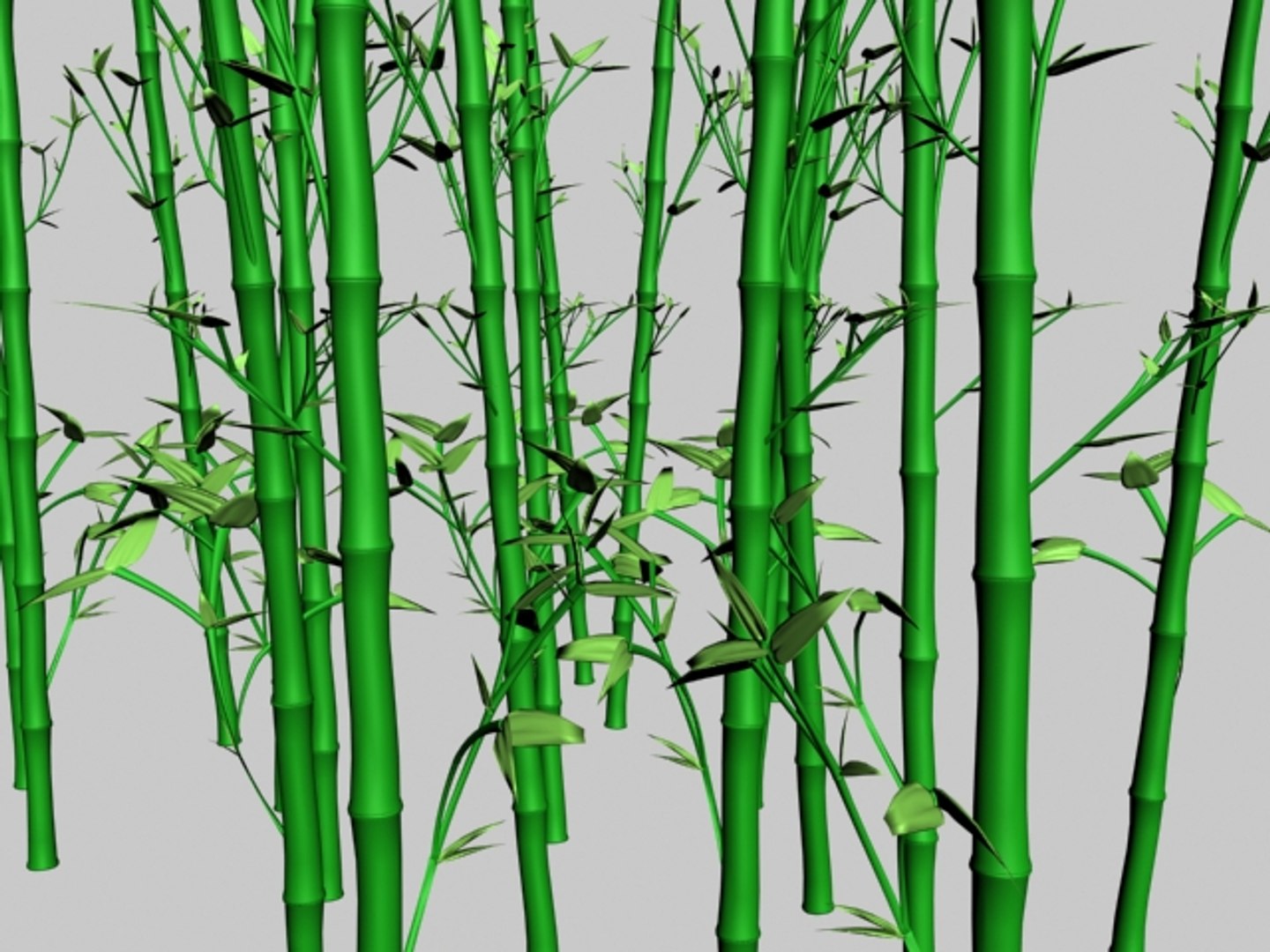 3d bamboo forest