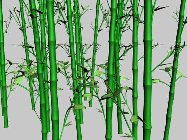 3d bamboo forest