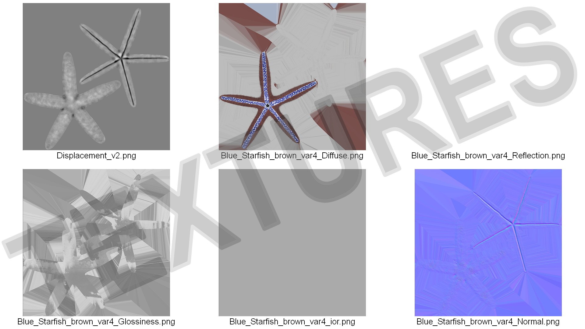 3D Model Blue Seastar Rigged - TurboSquid 2223319