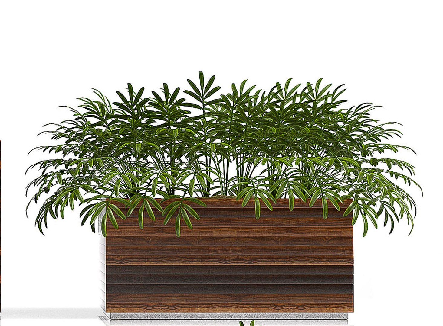 3d Planter Box Plants Model