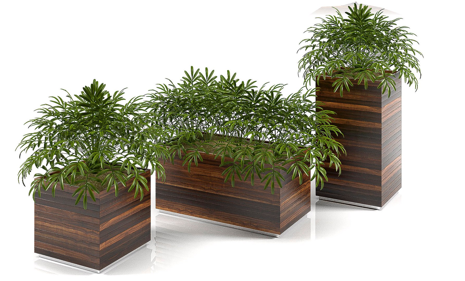 3d Planter Box Plants Model