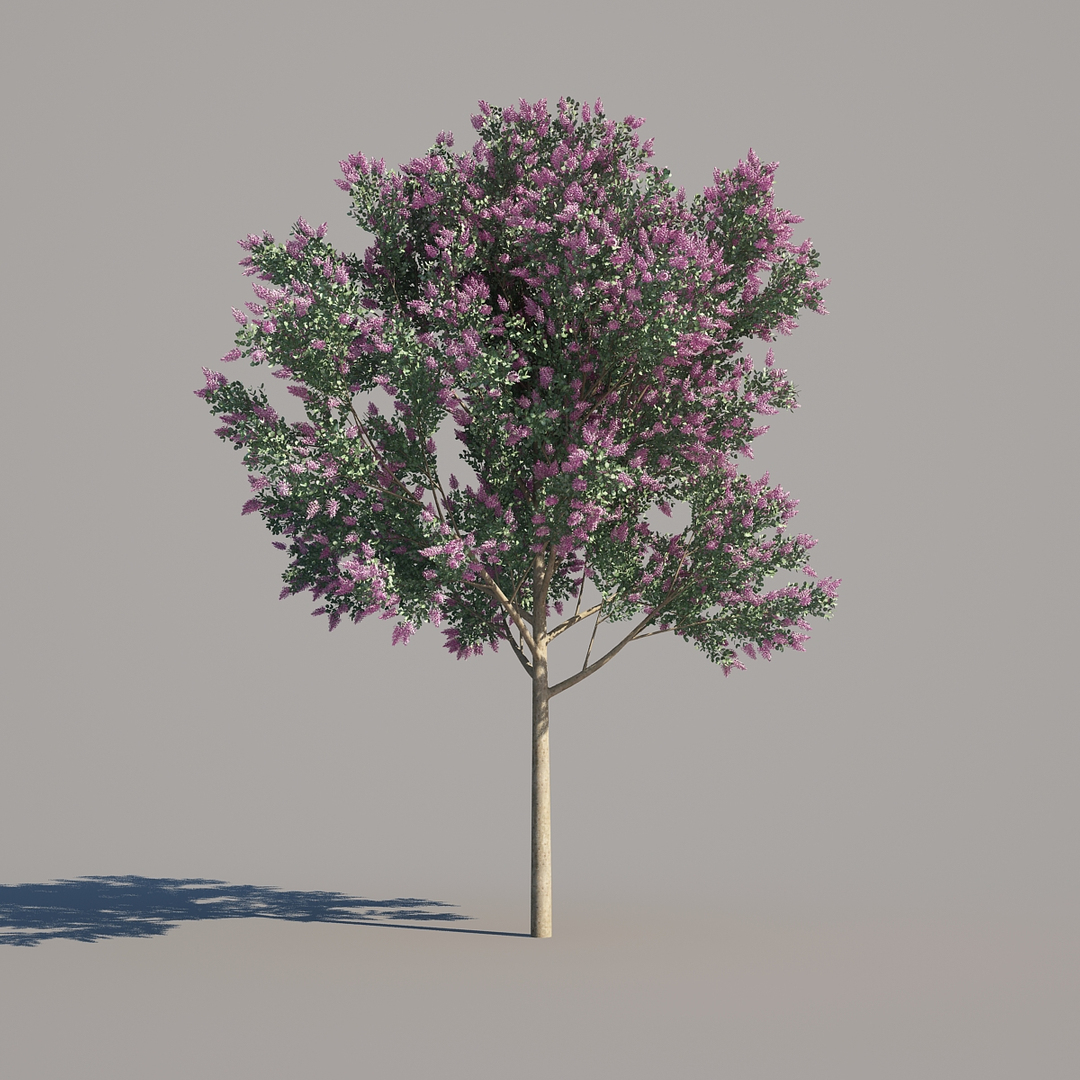 Max 3 4 Tree Flowers