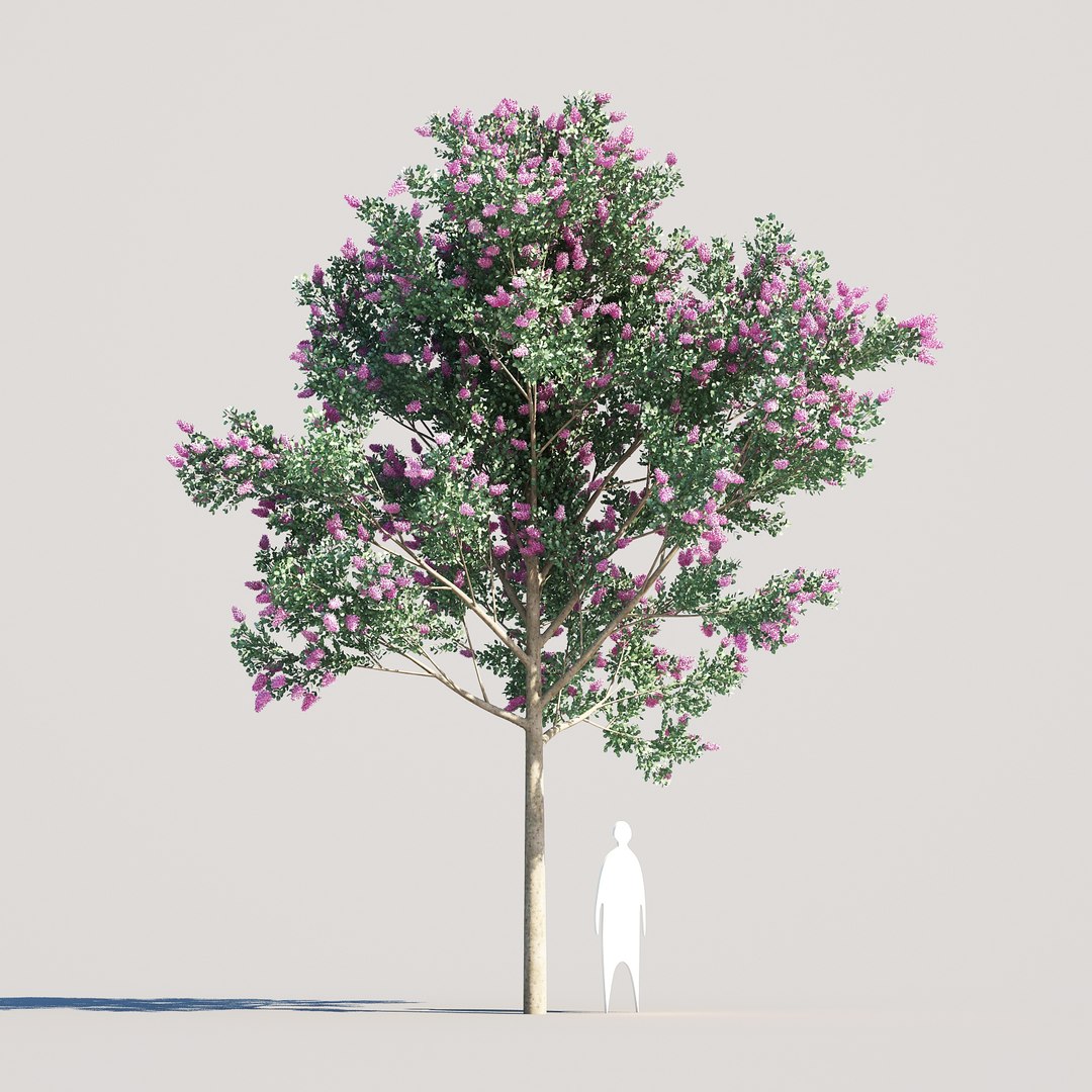 Max 3 4 Tree Flowers