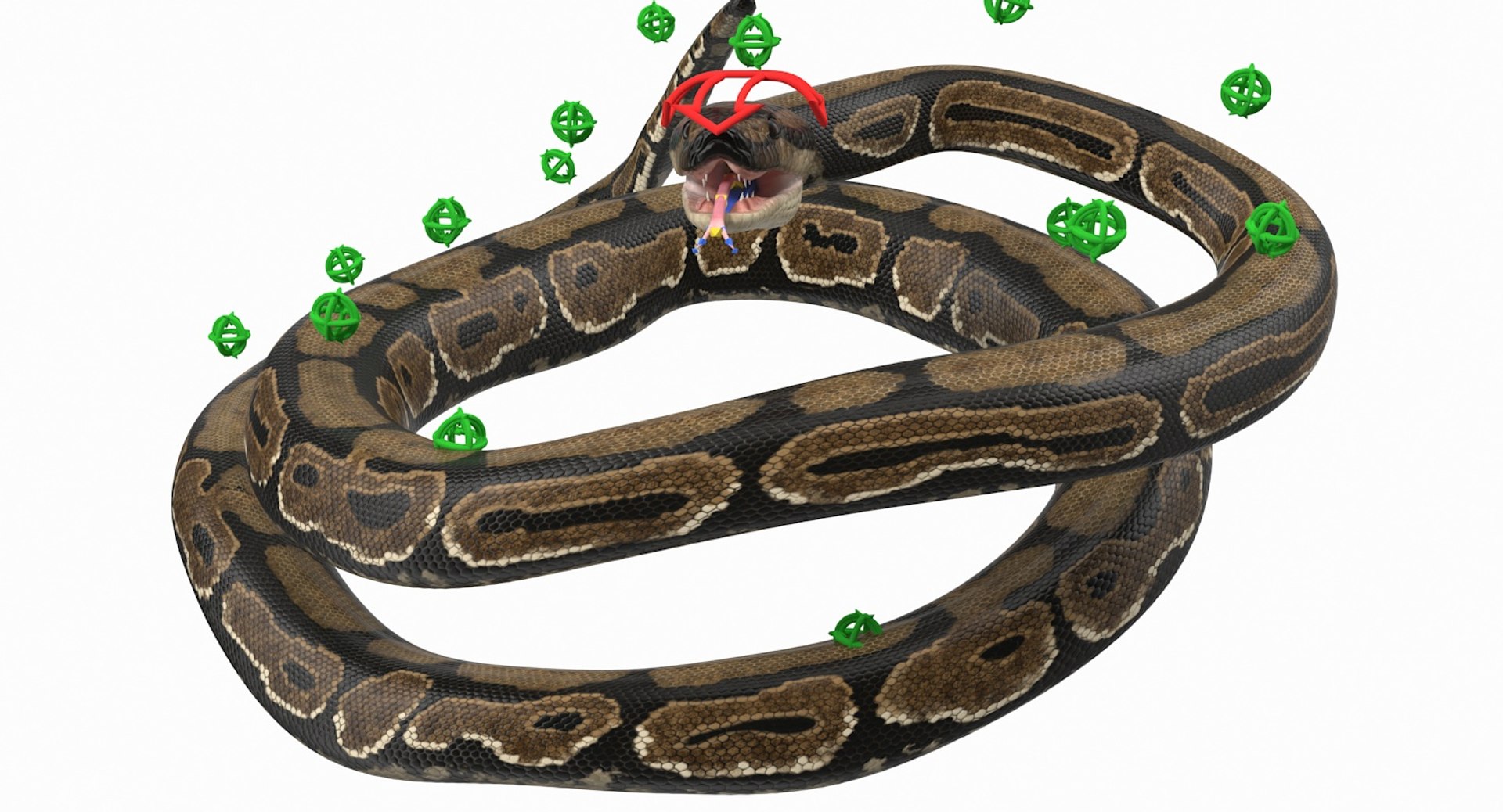 3D Brown Python Snake Rigged Model - TurboSquid 1417834