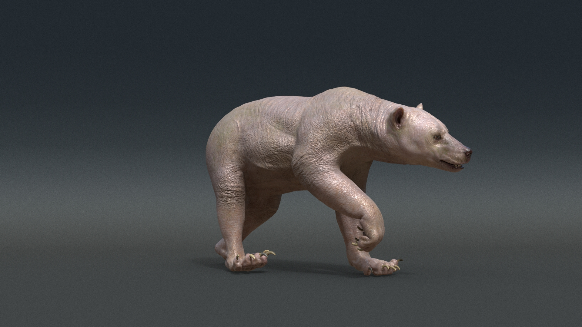 3D Bear Skin Houdini - TurboSquid 1734499