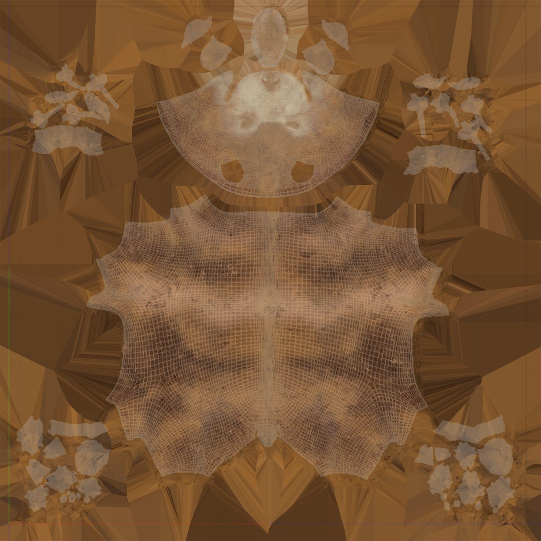 3D Bear Skin Houdini - TurboSquid 1734499