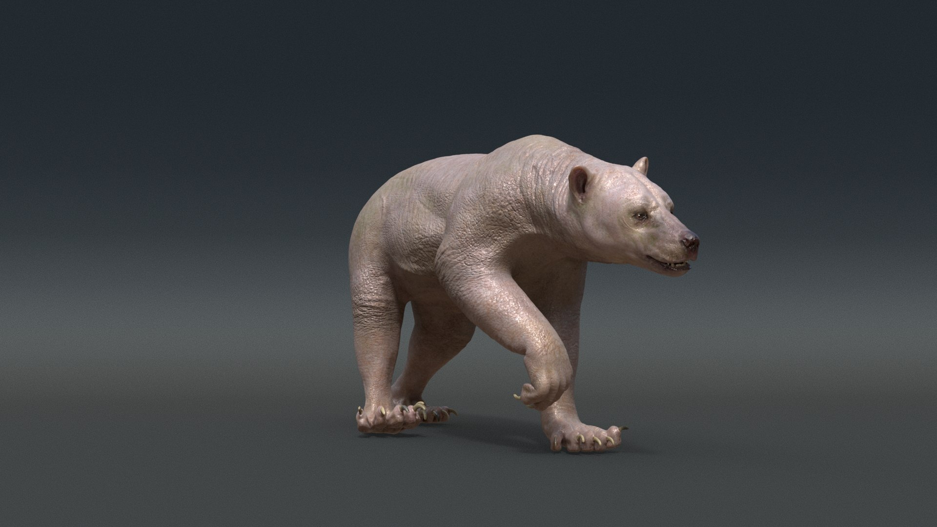 3D Bear Skin Houdini - TurboSquid 1734499