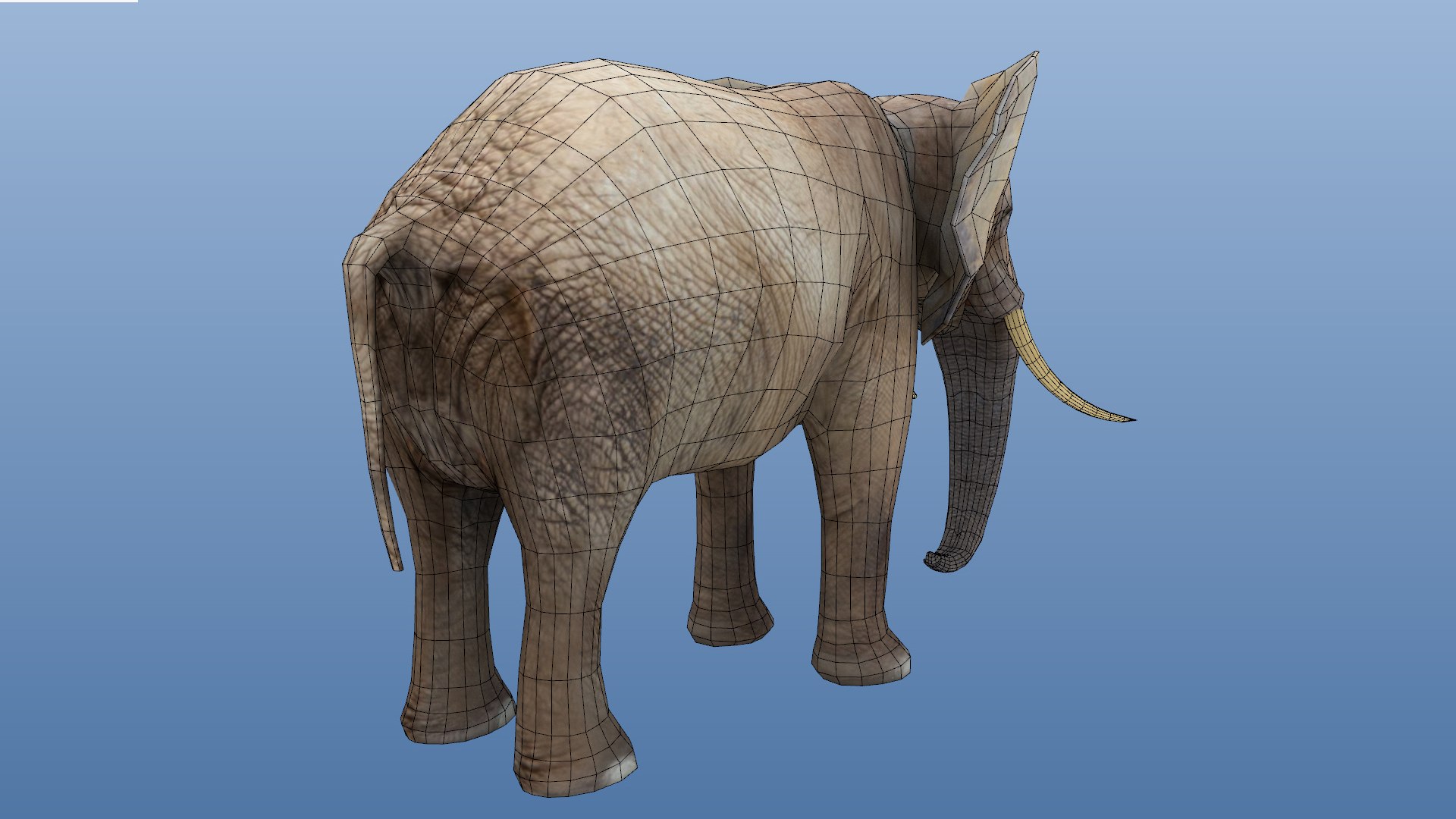 3d Model Elephant Rigged Unity