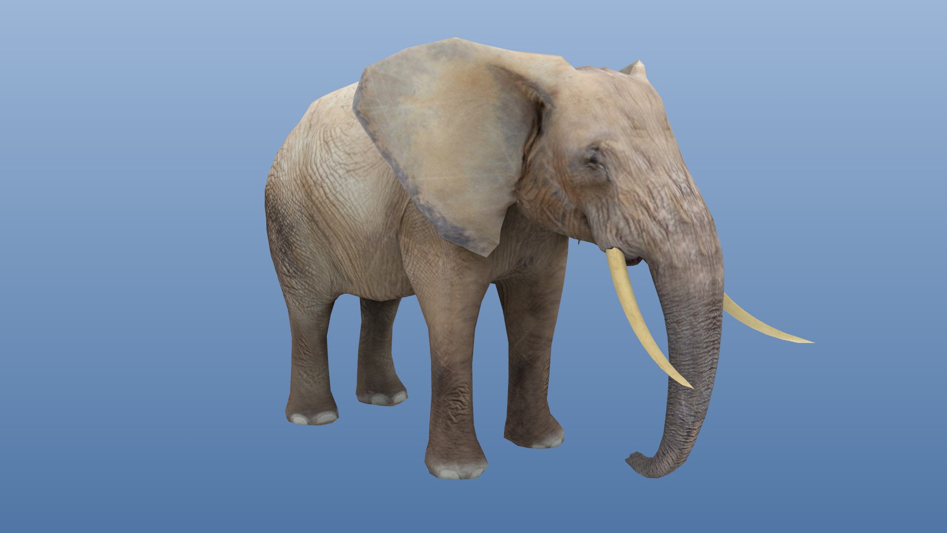 3d Model Elephant Rigged Unity
