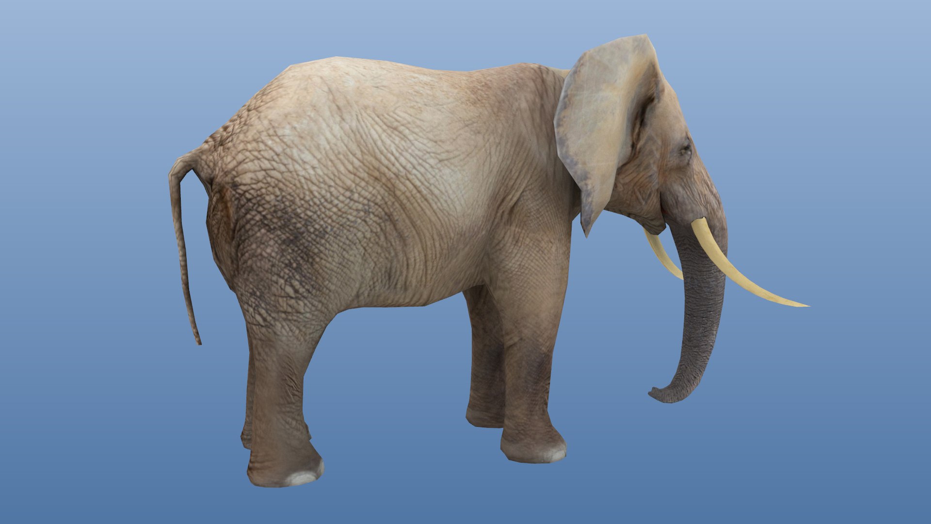 3d Model Elephant Rigged Unity