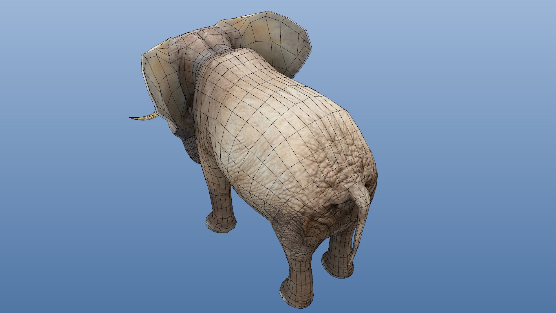 3d Model Elephant Rigged Unity