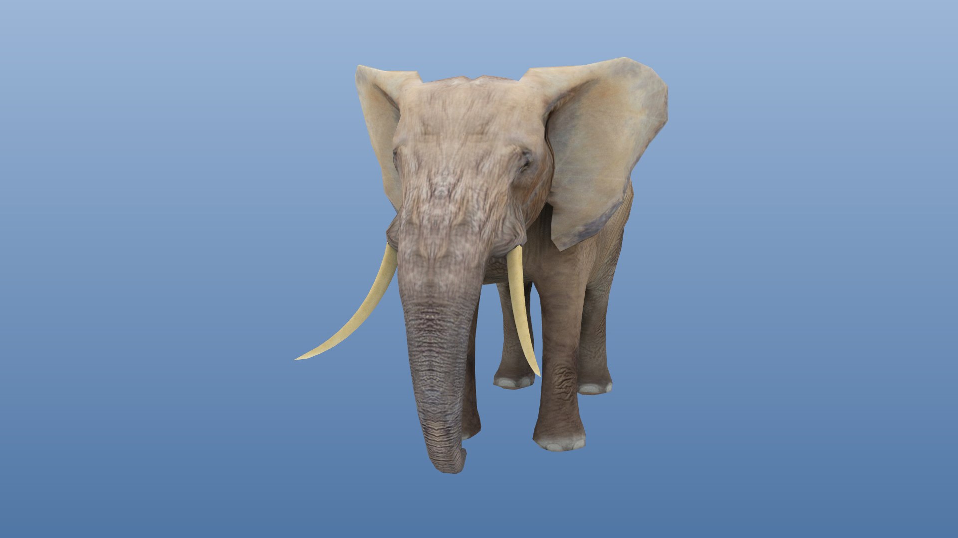 3d Model Elephant Rigged Unity