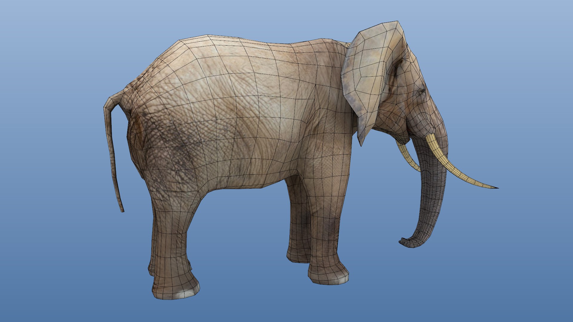 3d Model Elephant Rigged Unity