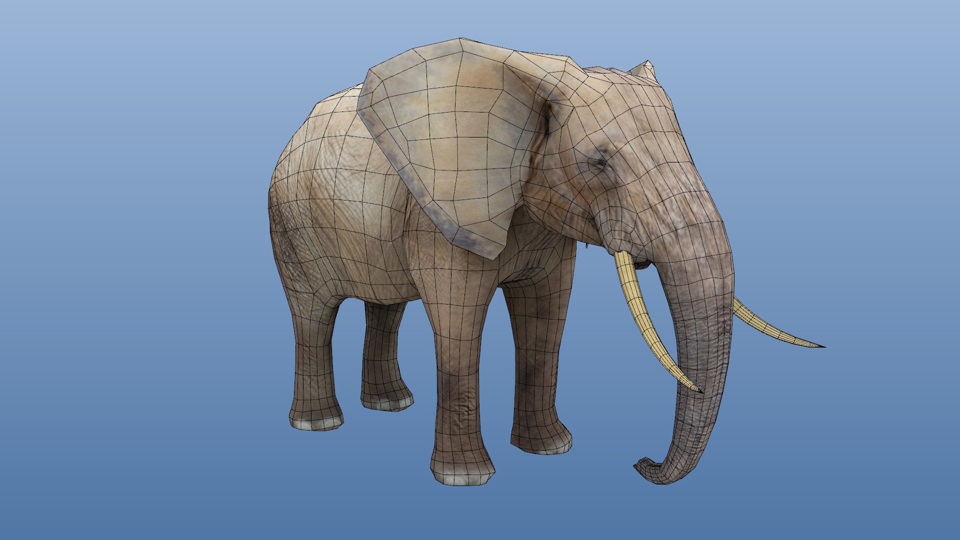3d Model Elephant Rigged Unity
