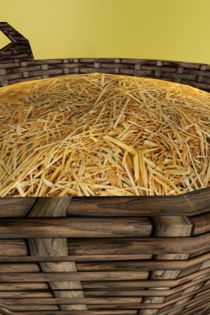 3d Model Basket Maps Normal