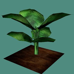 Free 3D Jungle Models - Available For Download On TurboSquid