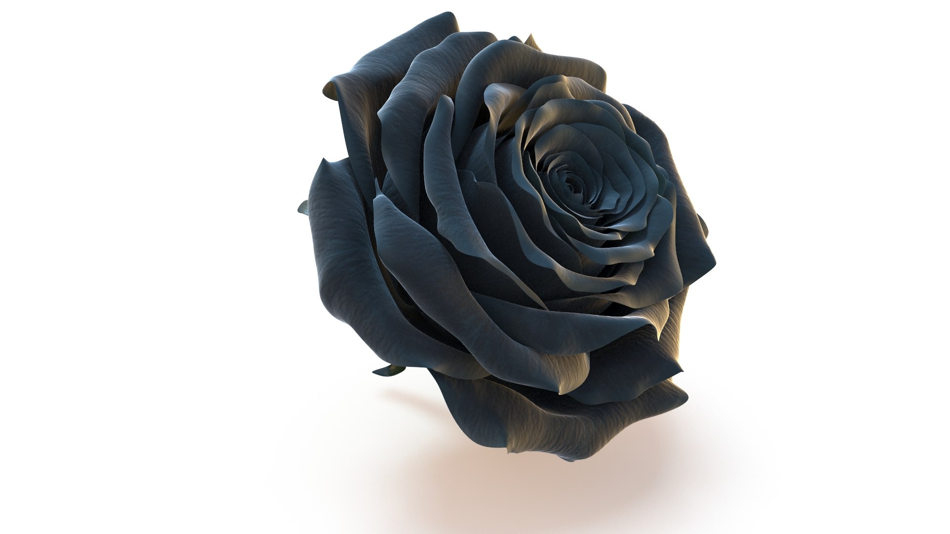 Realistic Rose 3D Model - High-Quality 4K PBR Asset 3D Model ...
