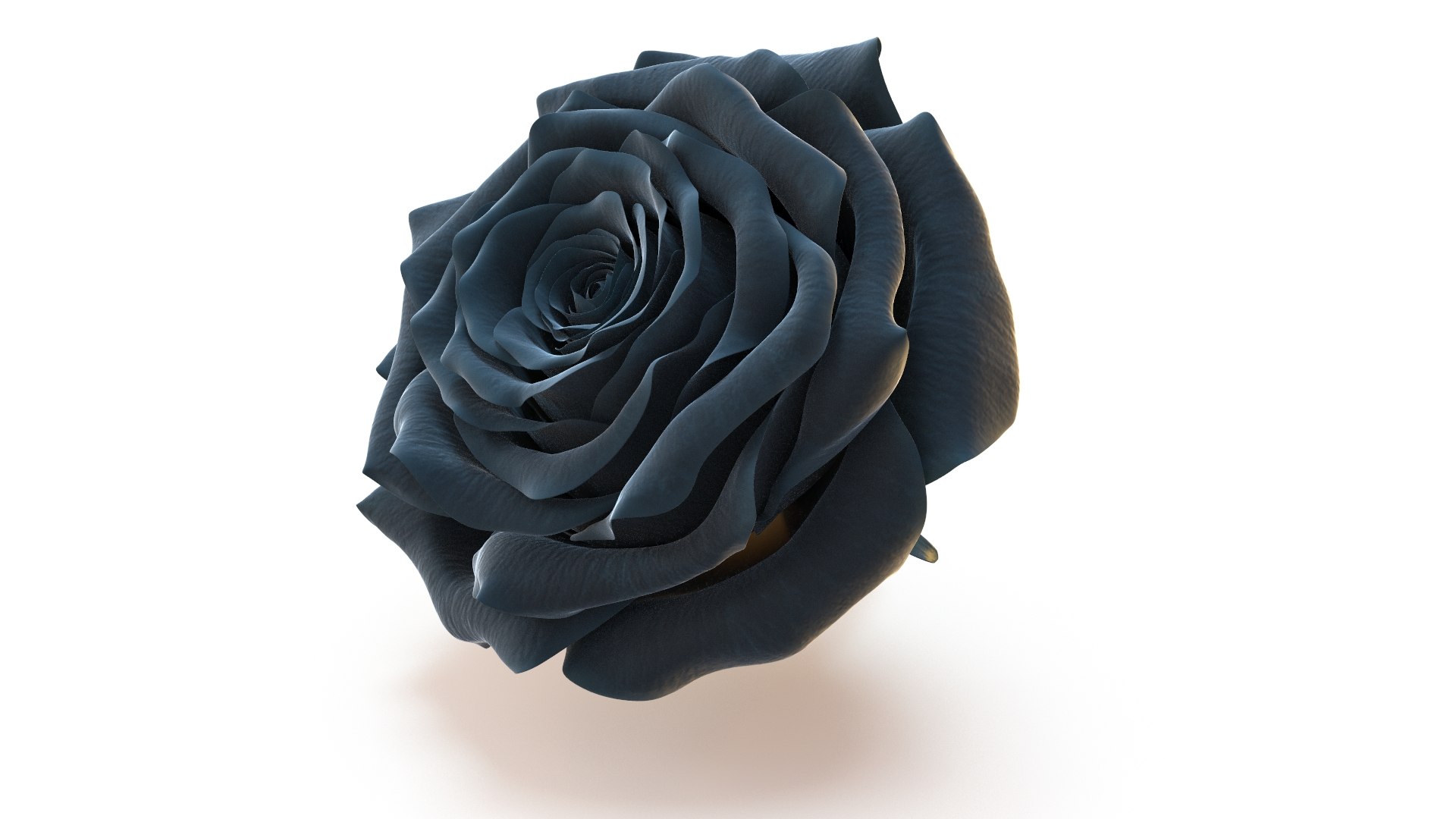Realistic Rose 3D Model - High-Quality 4K PBR Asset 3D Model ...