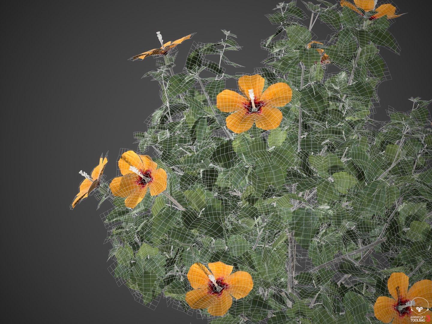 Hibiscus Flower Nature Model - TurboSquid 1677321