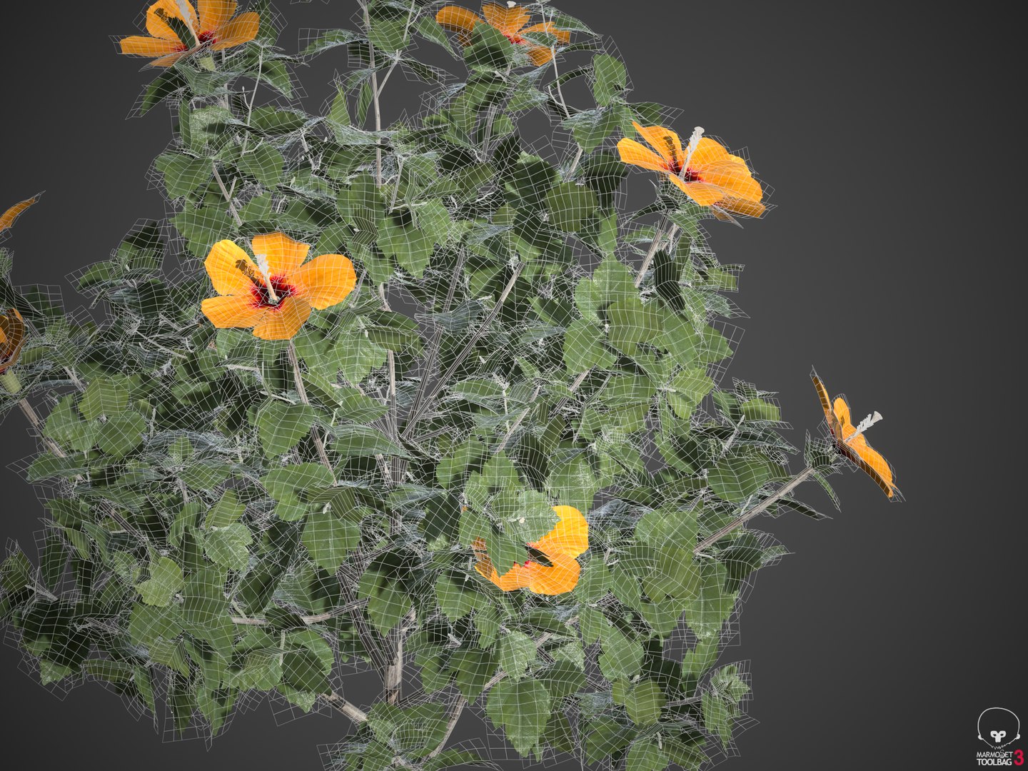 Hibiscus Flower Nature Model - TurboSquid 1677321