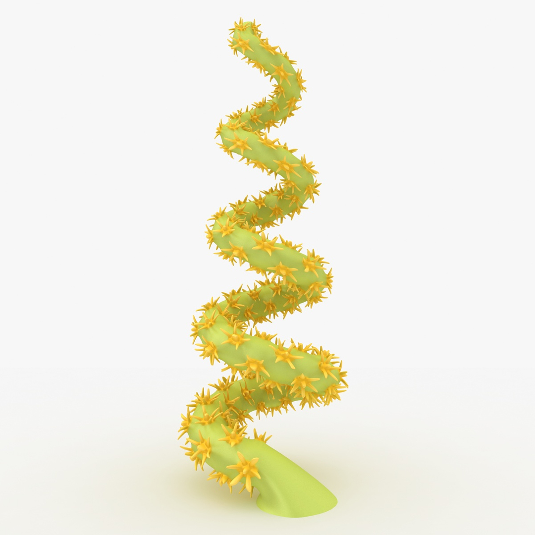 Wire Coral Cirrhipathes 3d Model