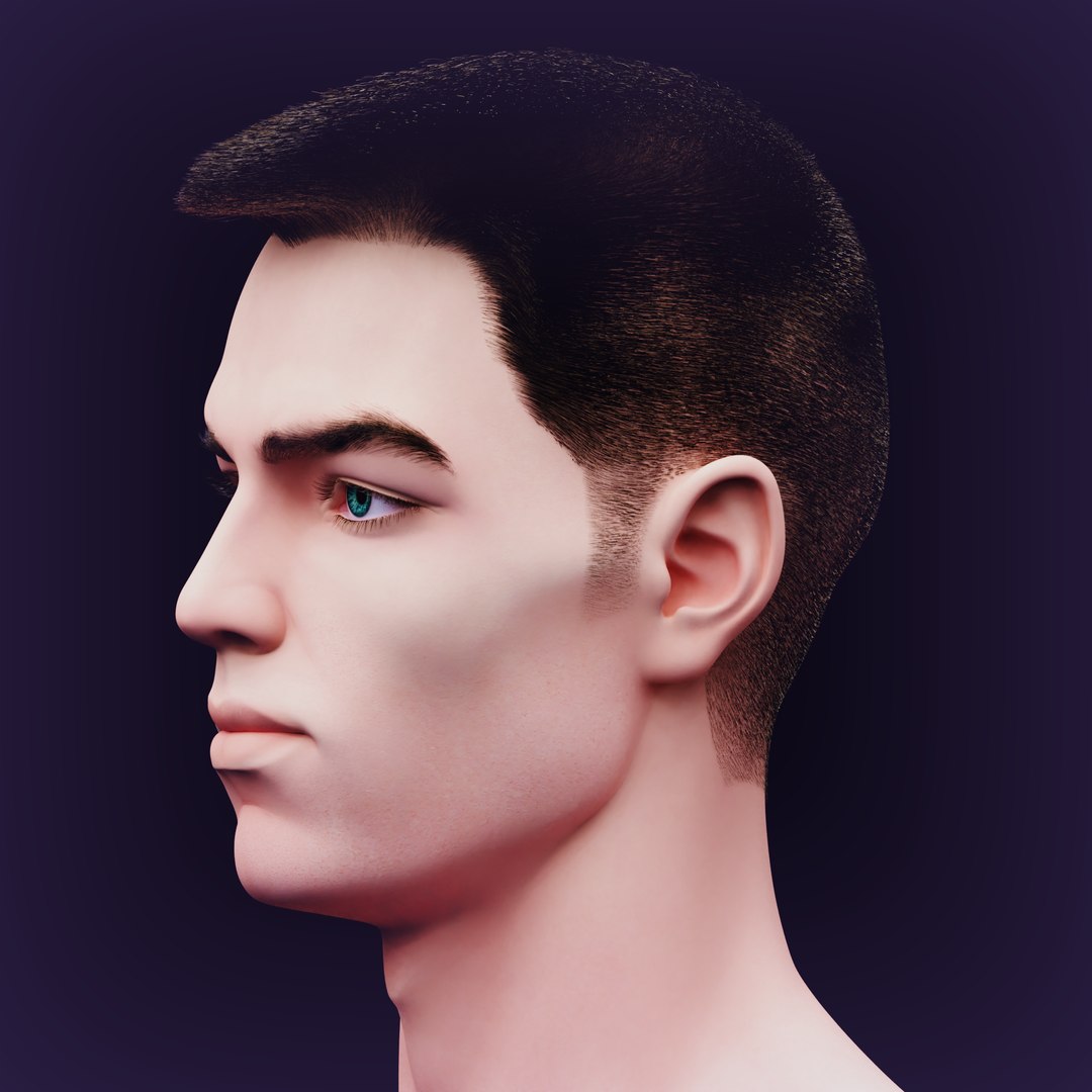 Nikolas Realistic Head Model - TurboSquid 2231331