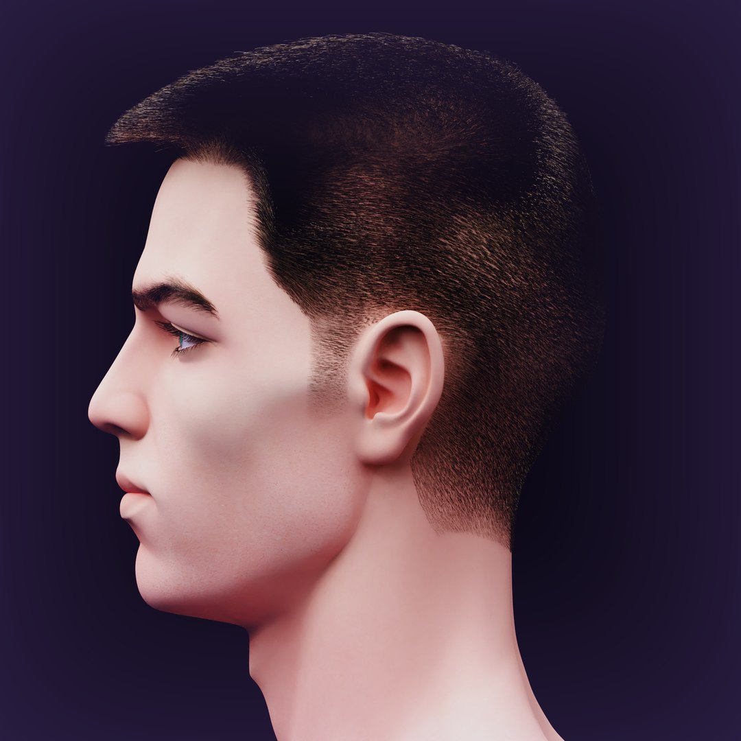 Nikolas Realistic Head Model - TurboSquid 2231331