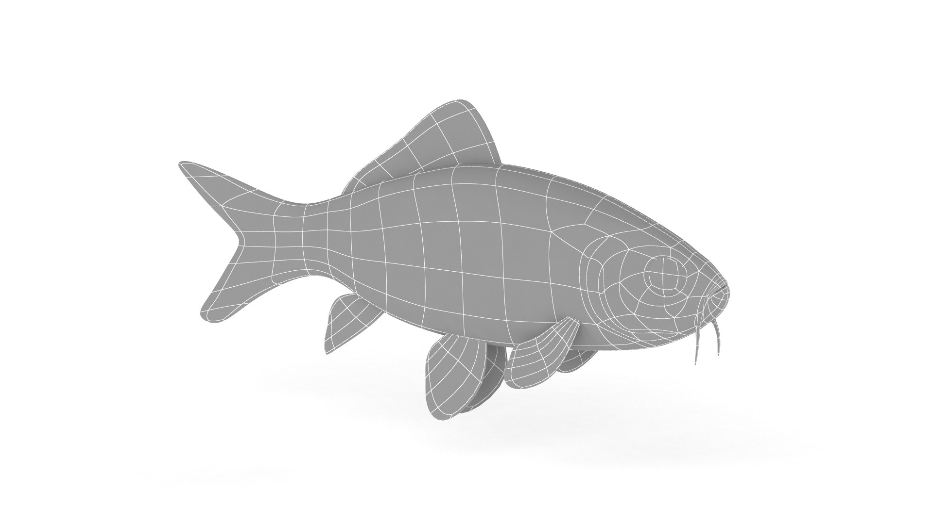 Koi Fish 3D Model - TurboSquid 1749117