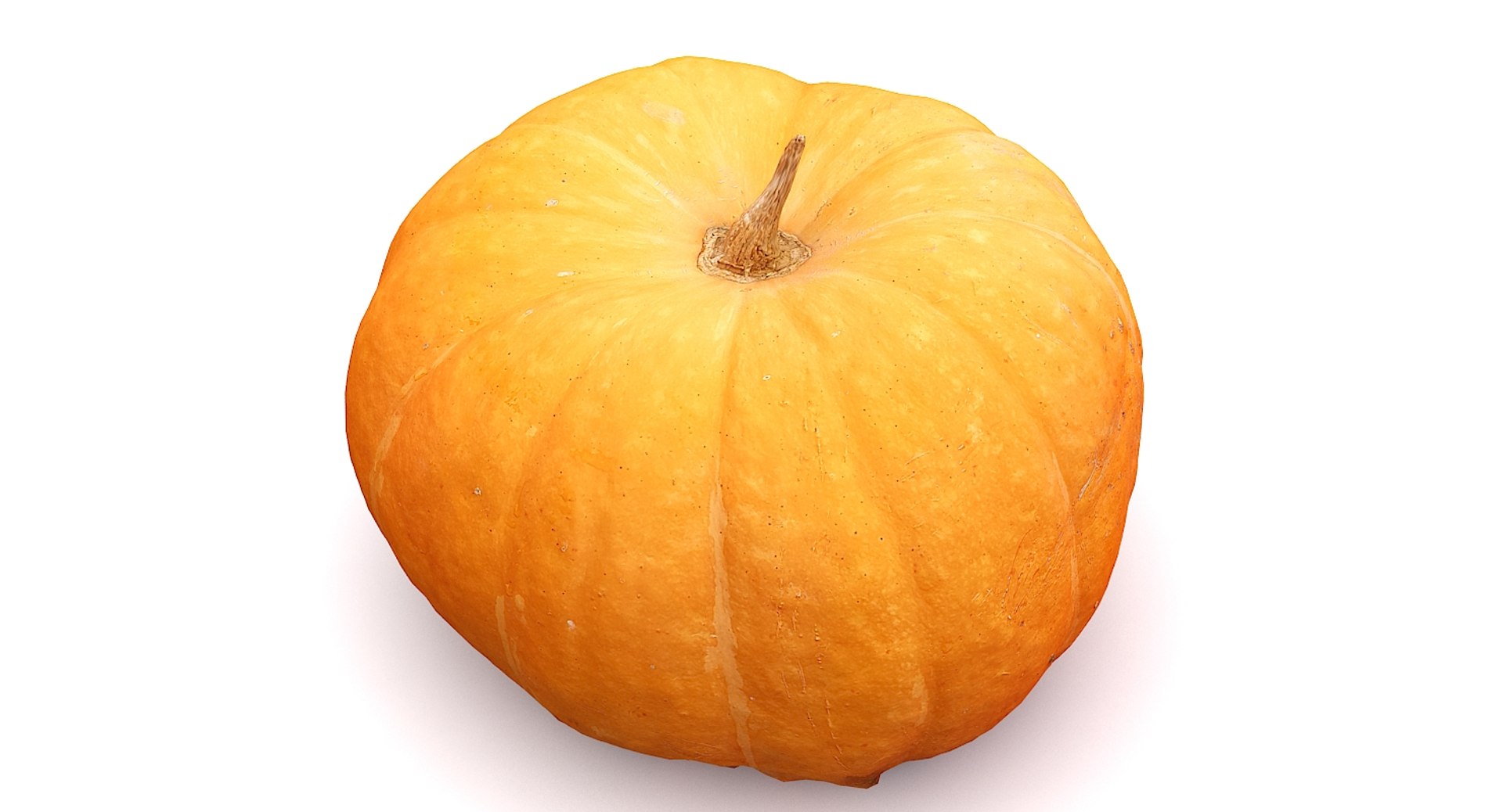 Pumpkin Real Model - TurboSquid 1330318