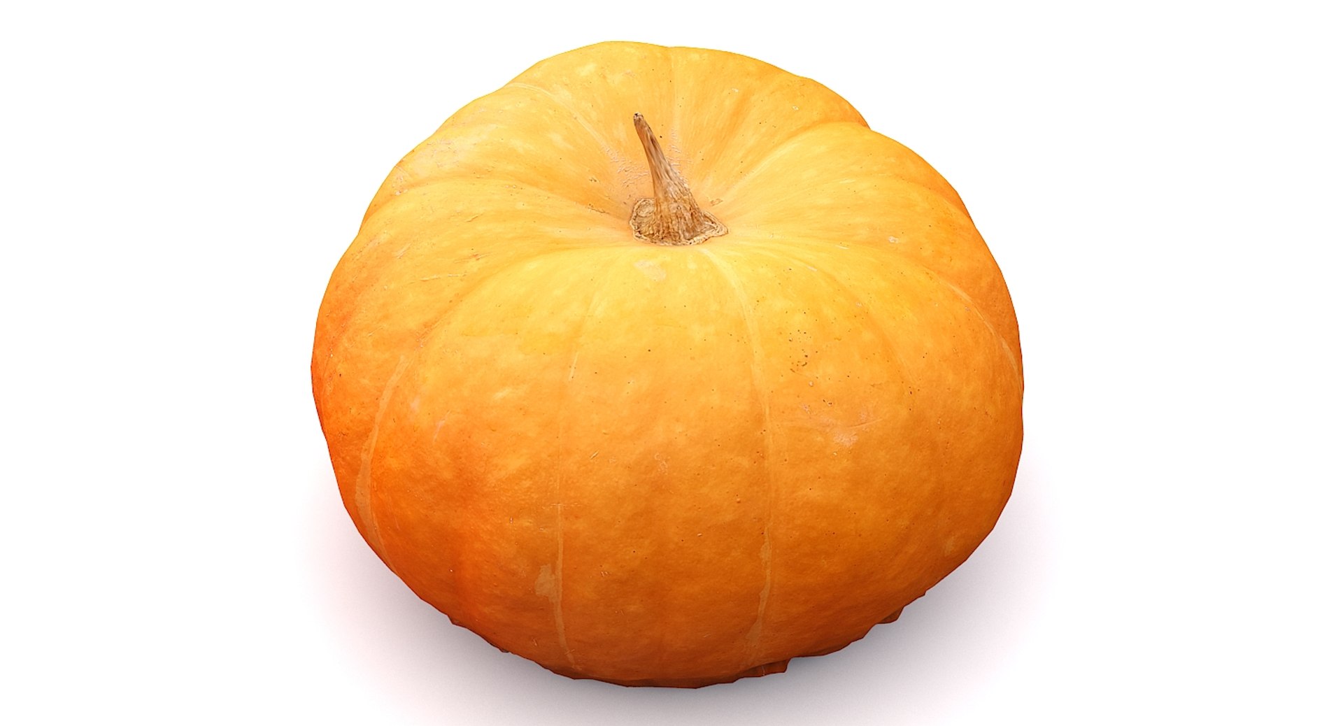 Pumpkin Real Model - TurboSquid 1330318