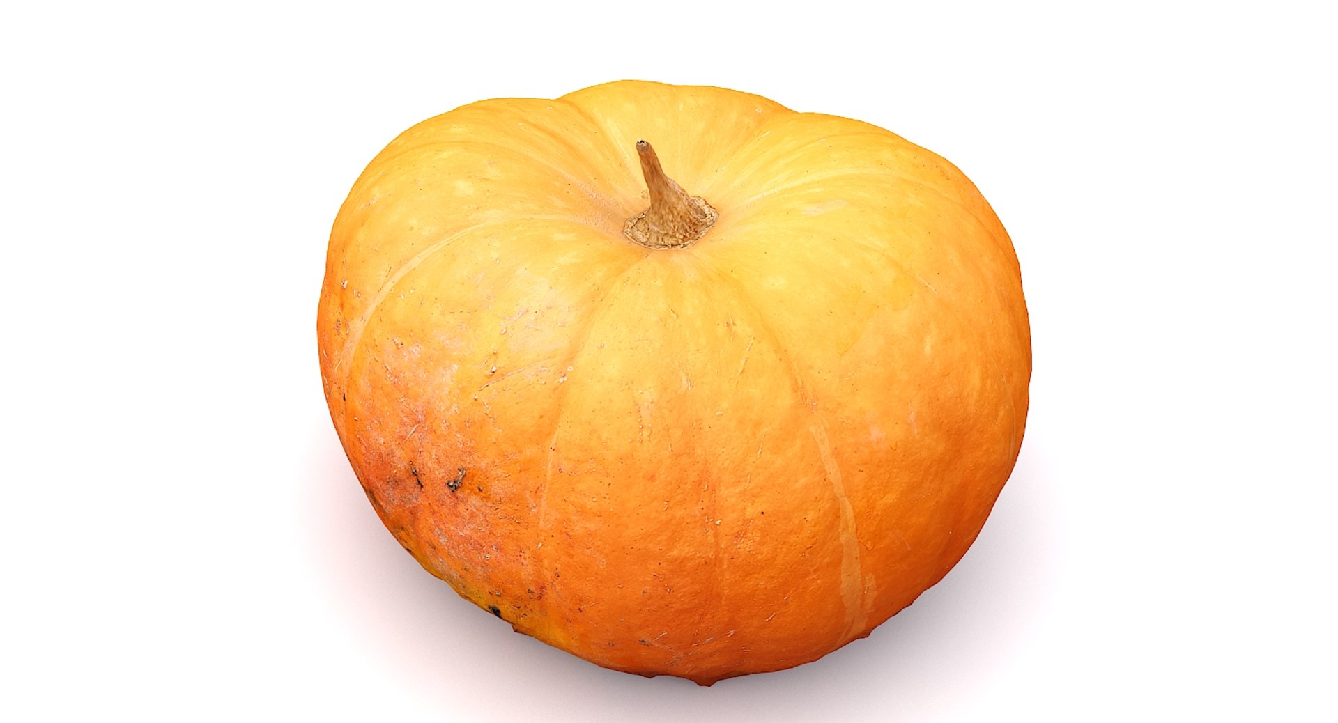 Pumpkin Real Model - TurboSquid 1330318