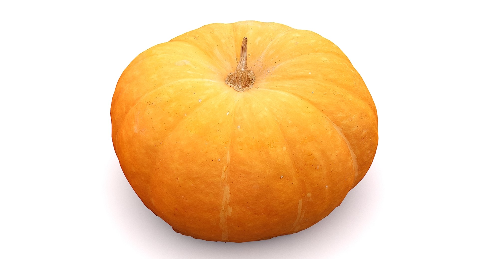Pumpkin Real Model - TurboSquid 1330318