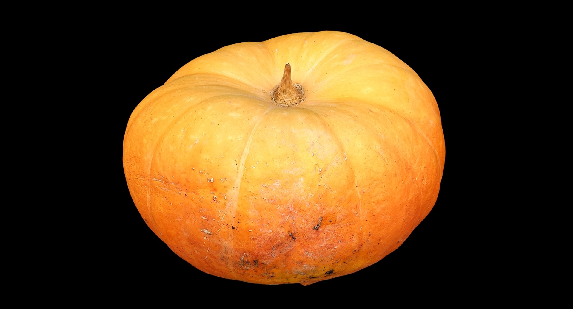 Pumpkin Real Model - TurboSquid 1330318