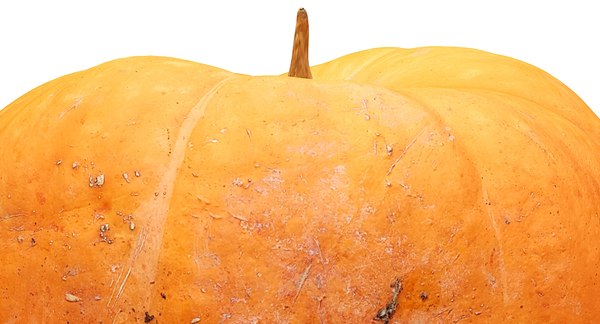 Pumpkin real model - TurboSquid 1330318