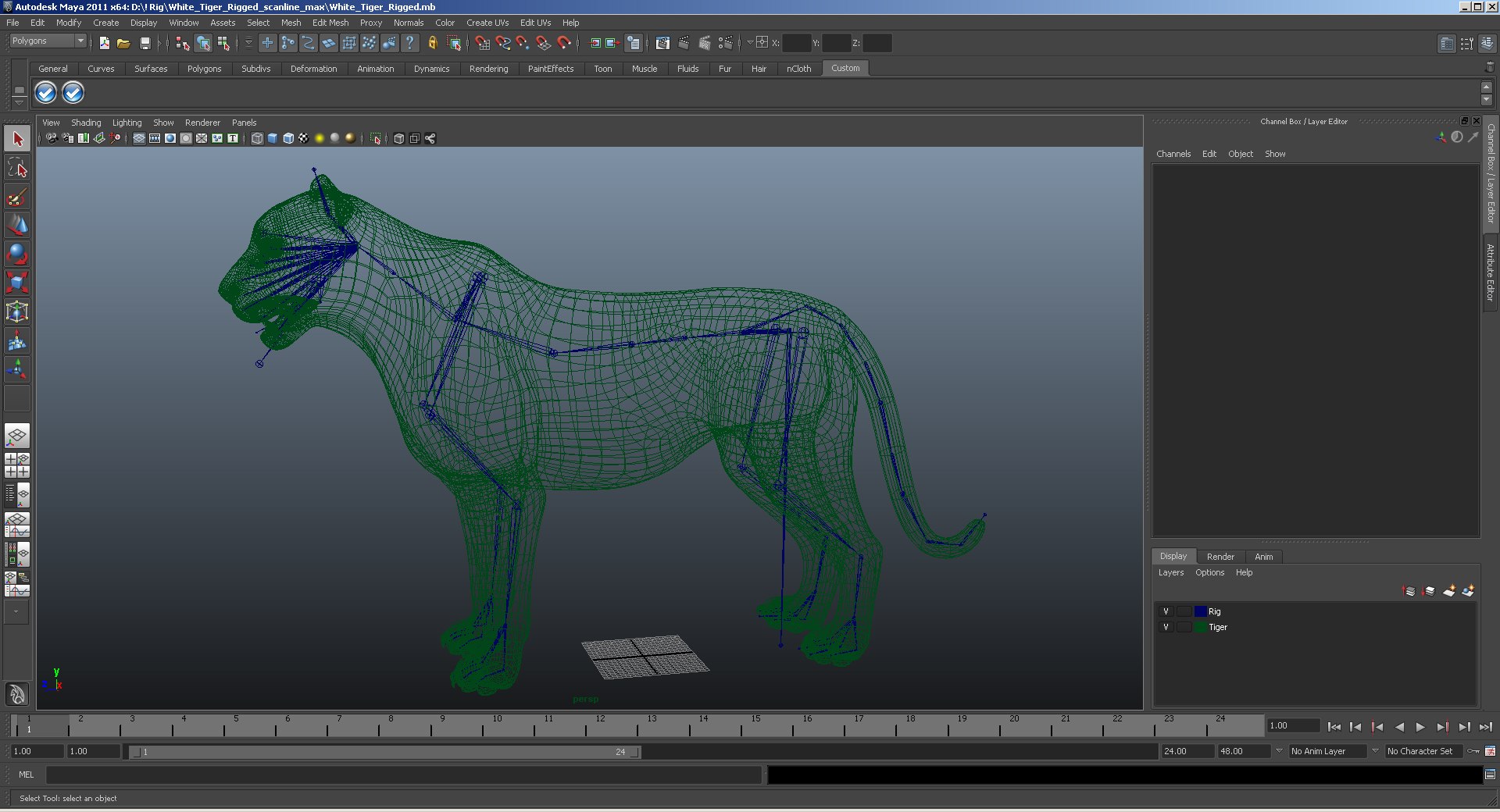 3D Tiger Rigged Model - TurboSquid 1318491